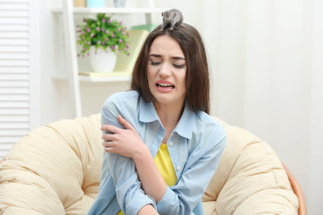 Common Pest Phobias and How to Deal with Them - Mr Pest Control