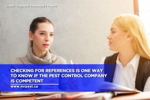 How to Choose a Pest Control Expert - Mr Pest Control