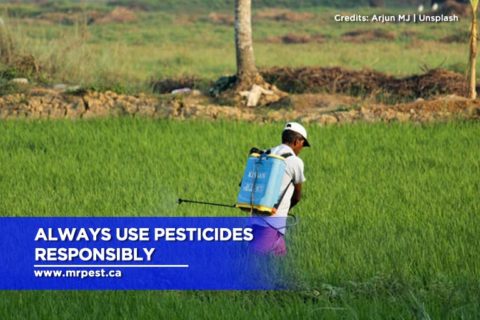 7 Ways to Keep Pests out of Your House - Mr Pest Control