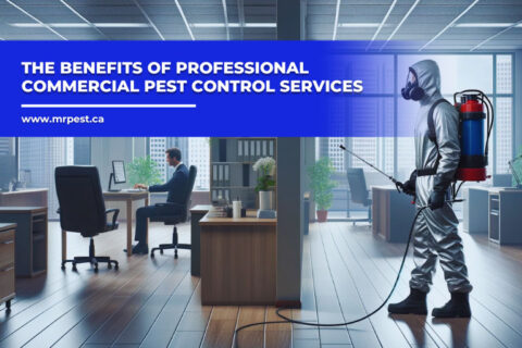 The Benefits of Professional Commercial Pest Control Services - Mr Pest ...