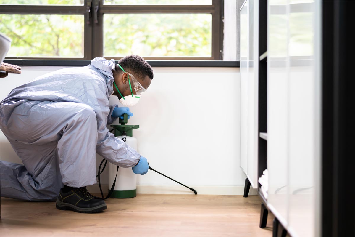 Top Pest Control Tips for Condo Dwellers: Protecting Your Space - Mr Pest Control