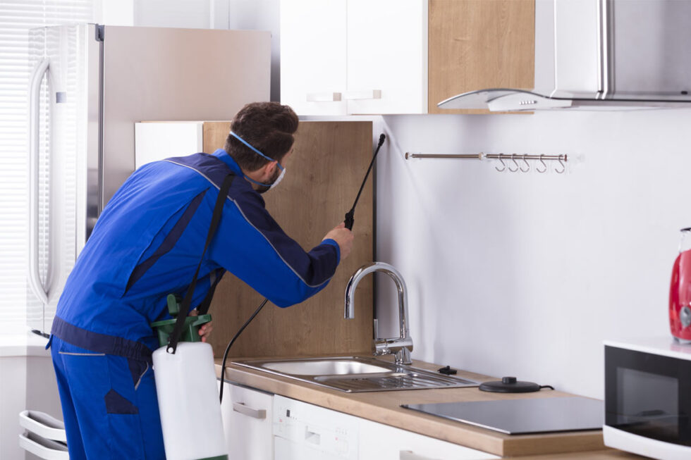 Typical Condo Pest Control Problems - Mr Pest Control