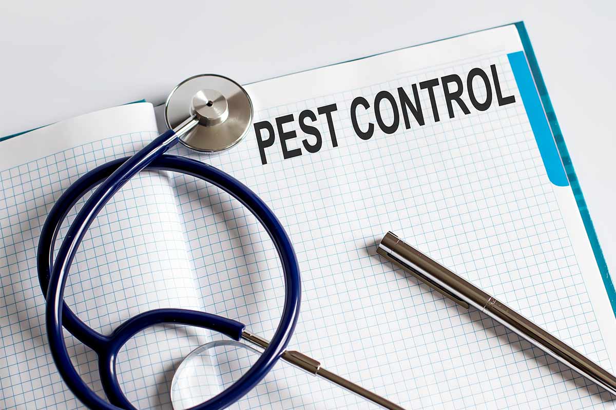 9 Essential Steps to Prevent Pests in Your Basement - Mr Pest Control