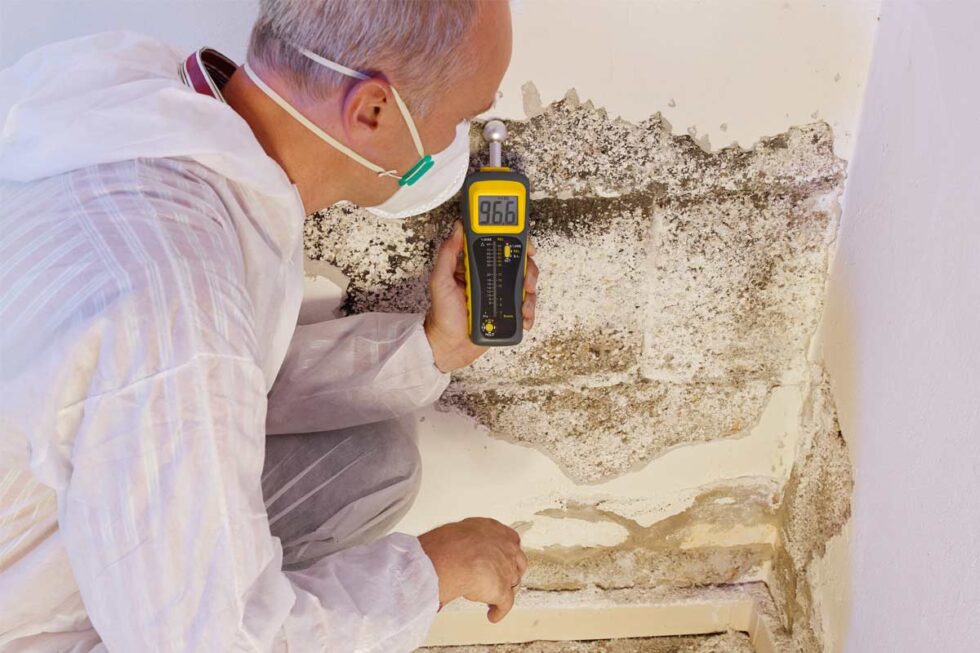 Termite Inspection Checklist: What to Expect and Why It Matters - Mr ...